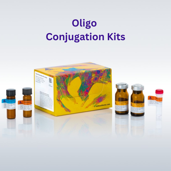 Oligonucleotide Conjugation Kits – lino Biotech AG