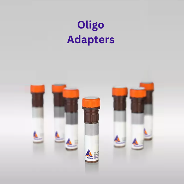 Oligonucleotide Adapters – lino Biotech AG