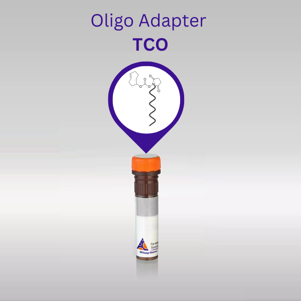 Oligo Adapter for Amine Kit – lino Biotech AG